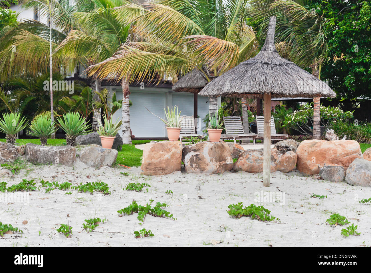 Beach shades and palm trees at a tropical resort Stock Photo - Alamy
