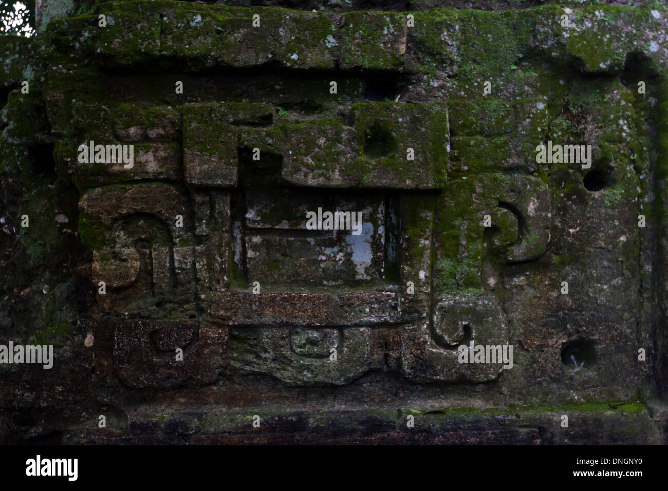 Ancient Mayan ruins in Tikal Guatemala half covered and underground ...
