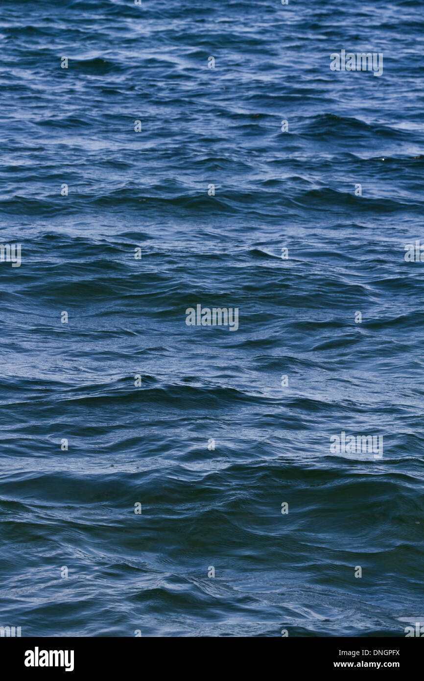 water background of the blue caribbean sea in Belize Stock Photo - Alamy
