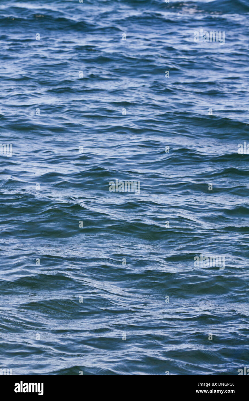 water background of the blue caribbean sea in Belize Stock Photo - Alamy