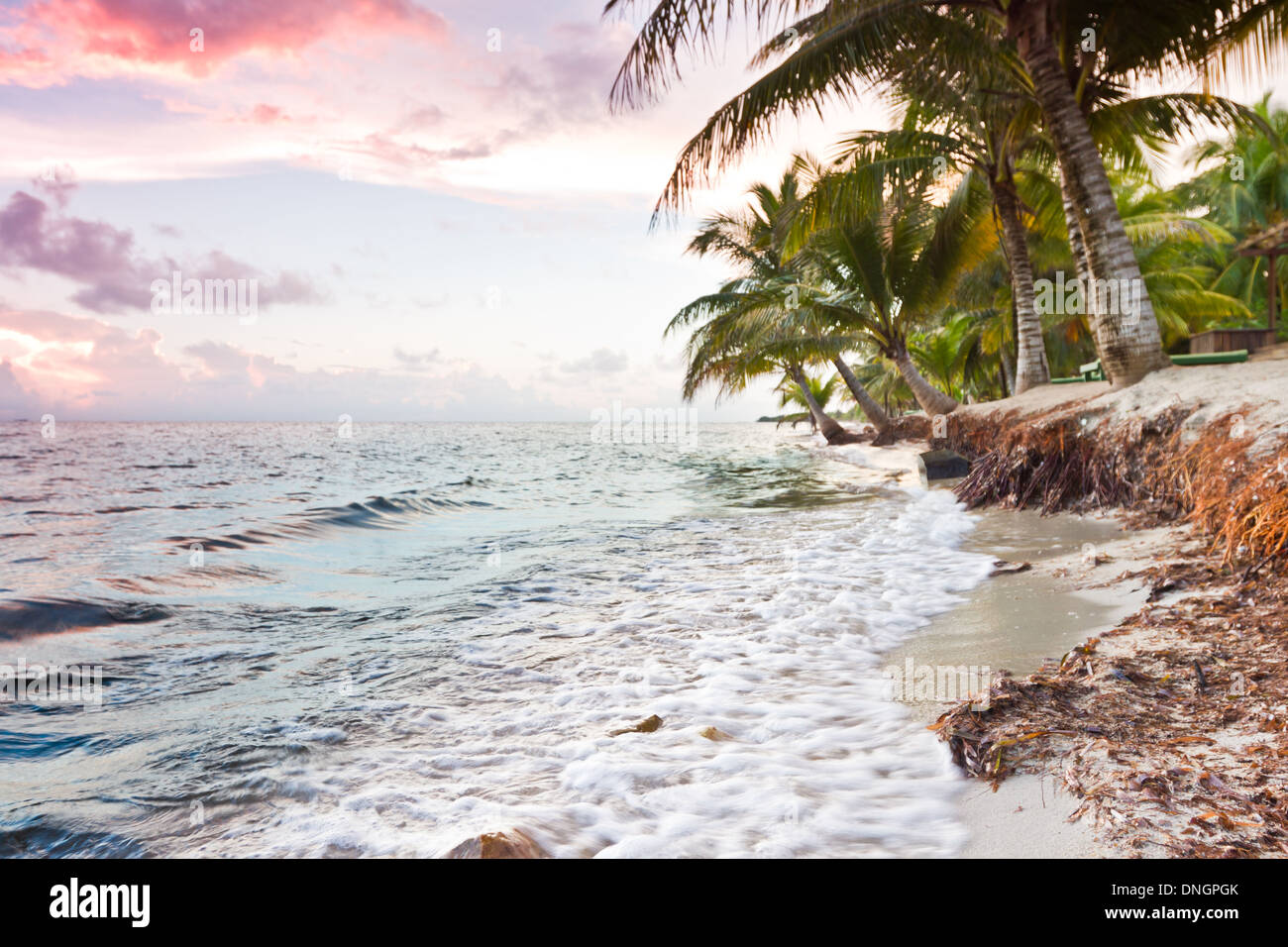 Belize beach hi-res stock photography and images - Alamy