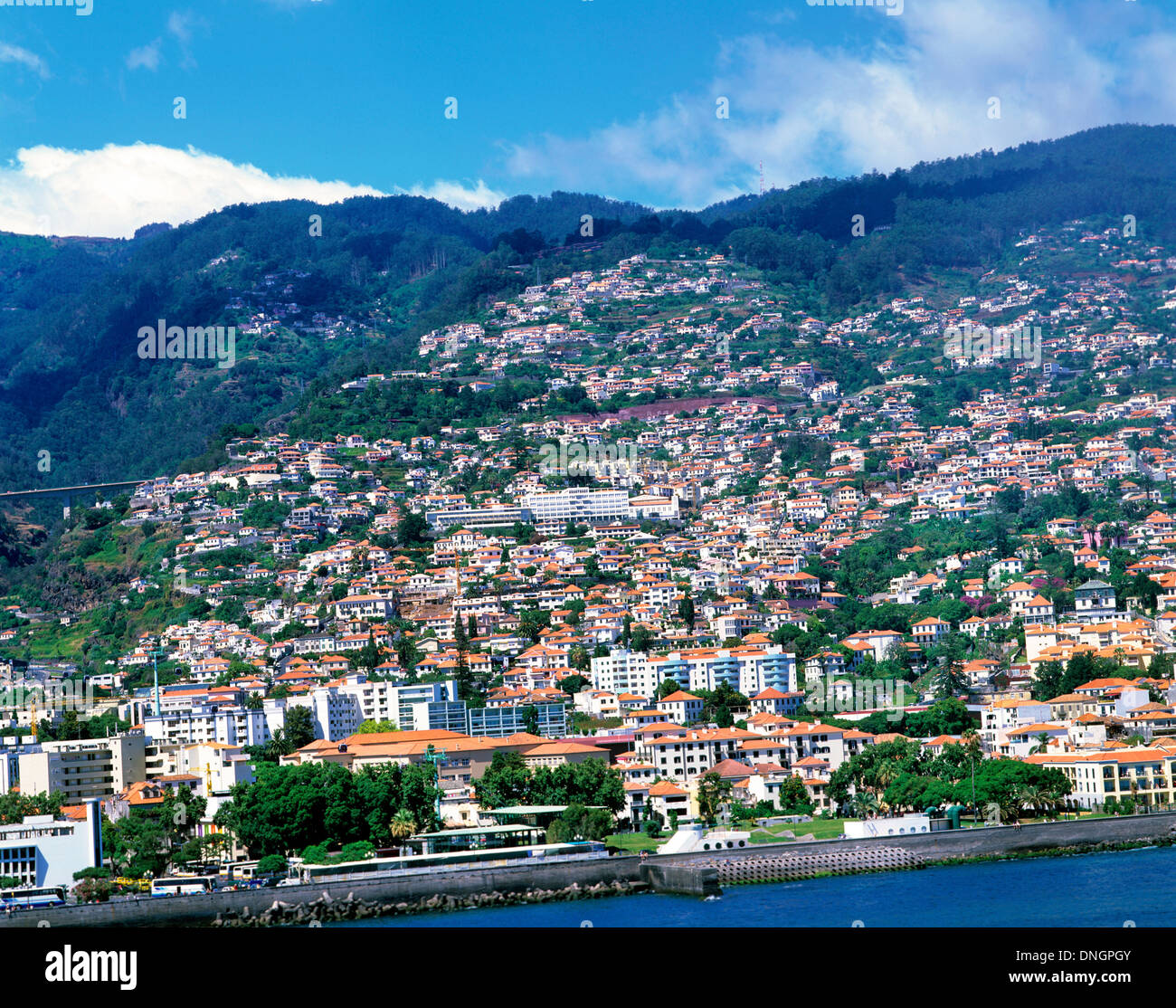View of Funchal showing cityscape, Funchal, Madeira, Portugal Stock ...