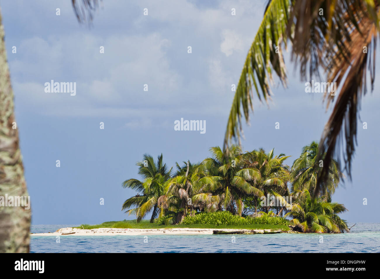 seascape of the coast of Belize with beautiful clear clean water Stock ...
