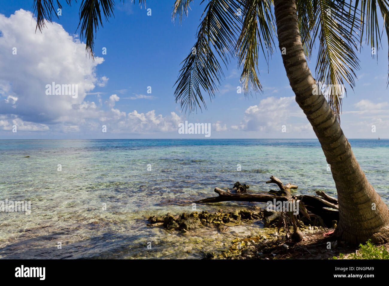seascape of the coast of Belize with beautiful clear clean water Stock ...