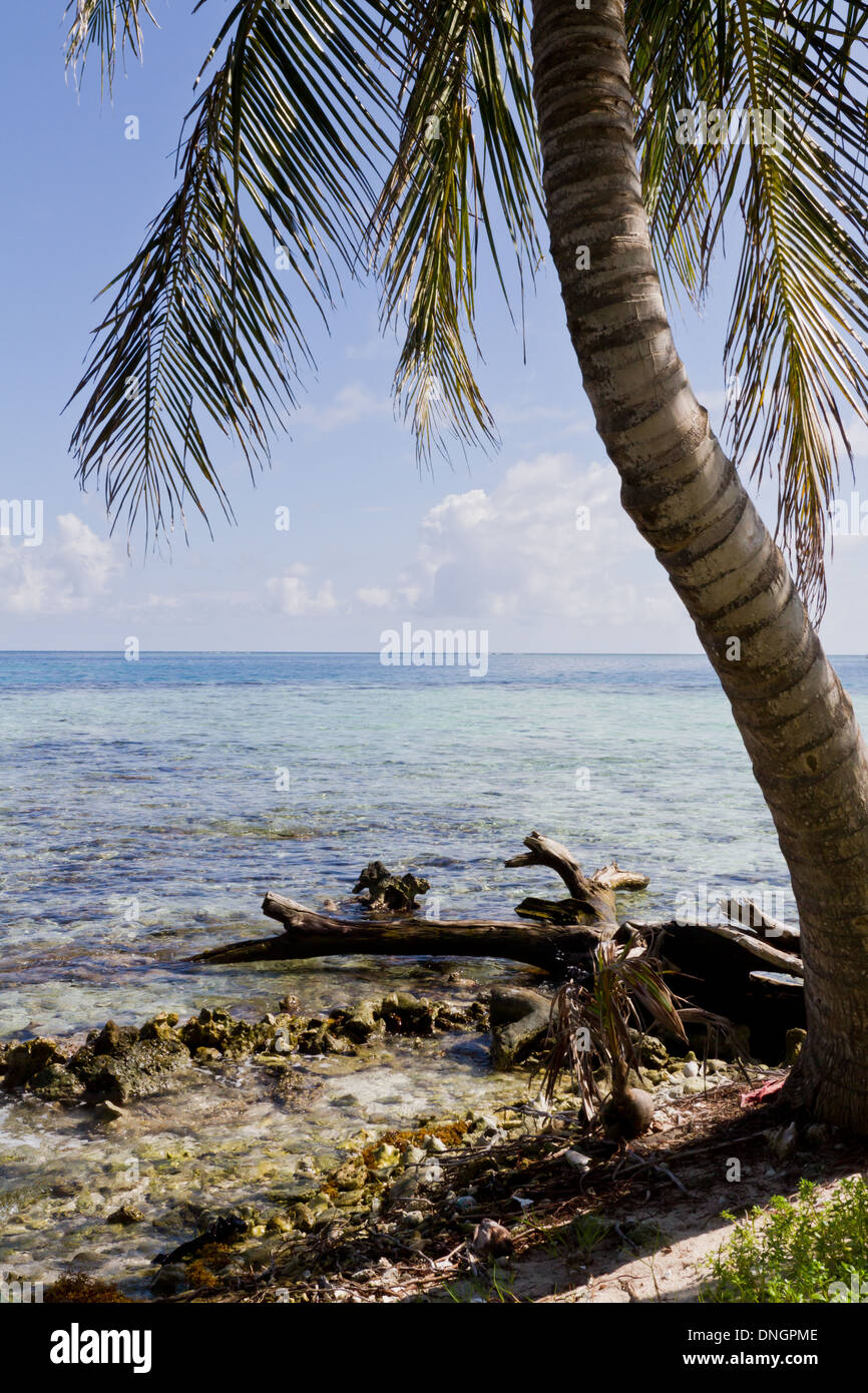 seascape of the coast of Belize with beautiful clear clean water Stock ...