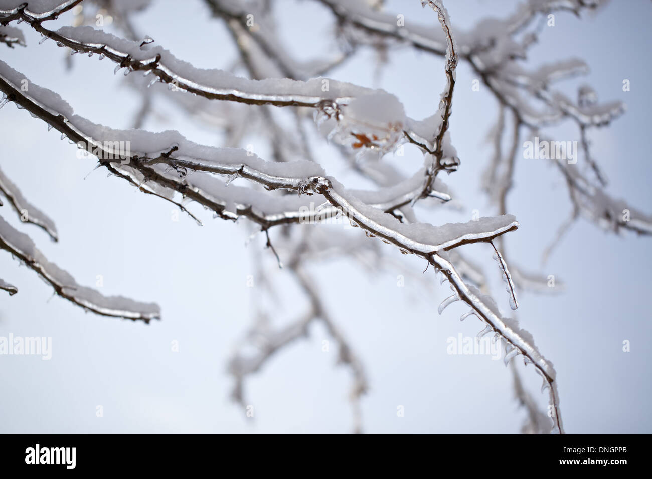 Ice snow storm hi-res stock photography and images - Alamy
