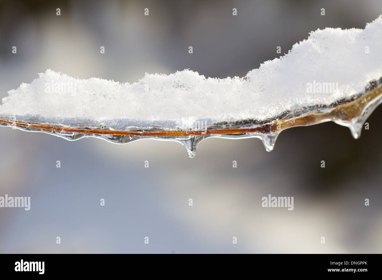 Outdoor object affected by ice storm Stock Photo - Alamy