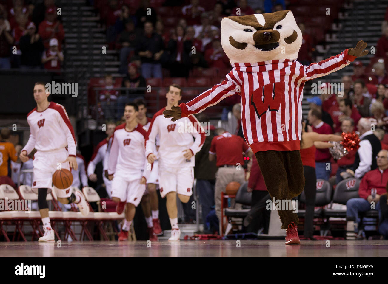 Bucky badger hi-res stock photography and images - Alamy