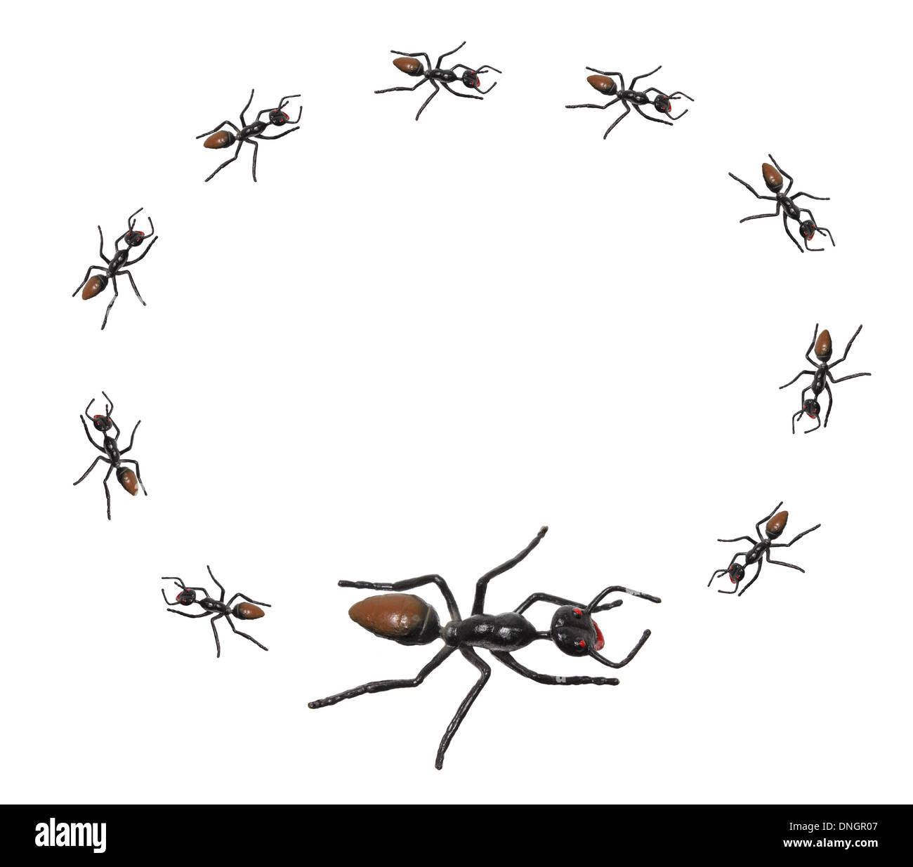 Plastic ants hi-res stock photography and images - Alamy