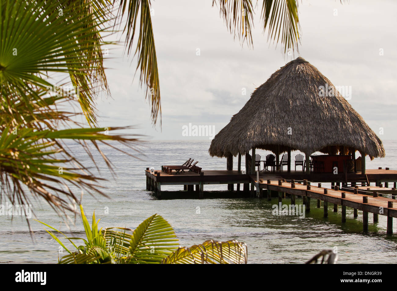Tropical beach bar hi-res stock photography and images - Alamy