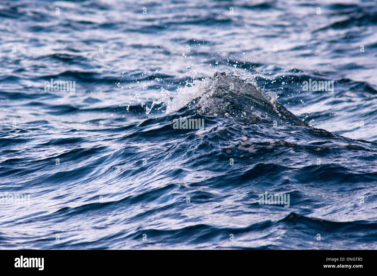 Small Waves High Resolution Stock Photography and Images - Alamy