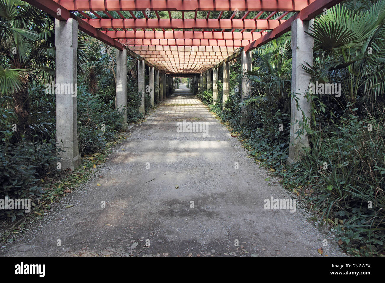 Pergola garden hi-res stock photography and images - Alamy