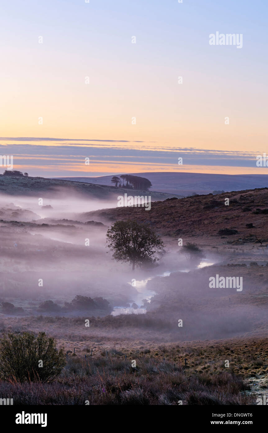 Mist over stream at Two Bridges, Dartmoor Stock Photo - Alamy