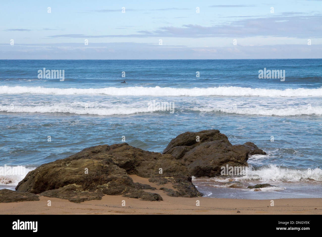 Bakio beach Cantabrian see Basque Country, Spain, Europe Stock Photo ...