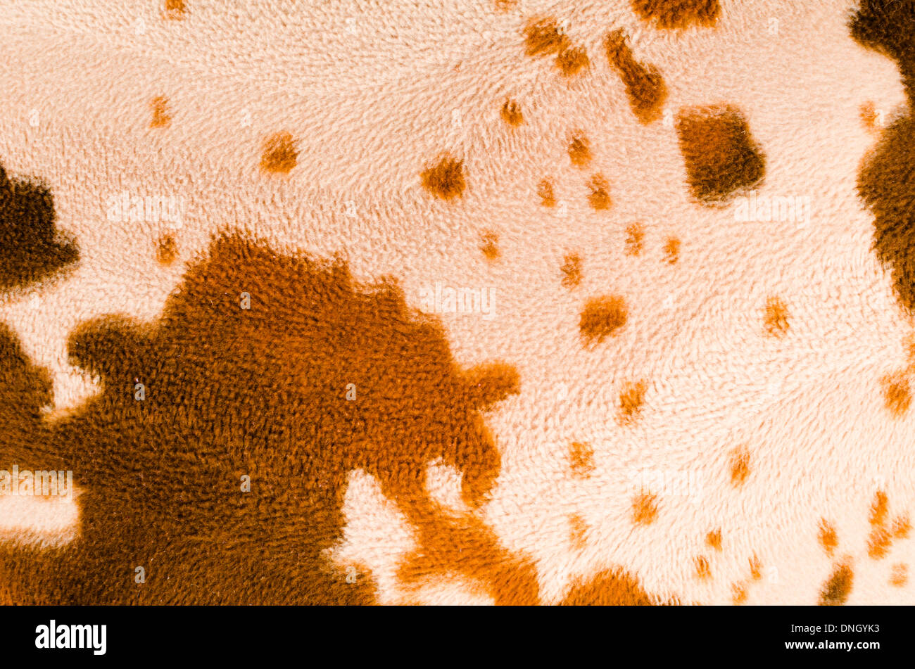 Skinpattern hi-res stock photography and images - Alamy