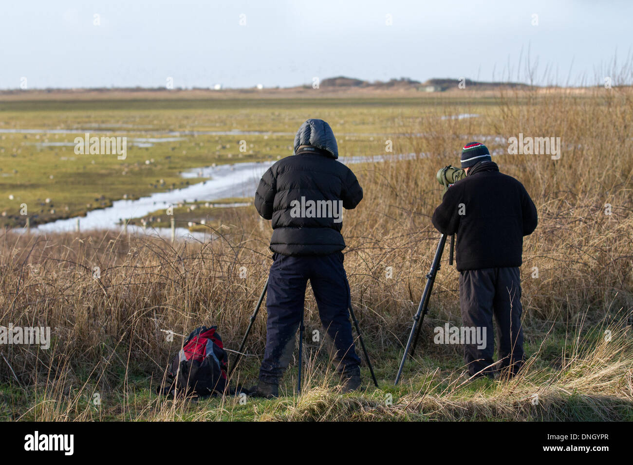 Two men using a digiscope at Wildlife pond at Southport, Merseyside, UK ...