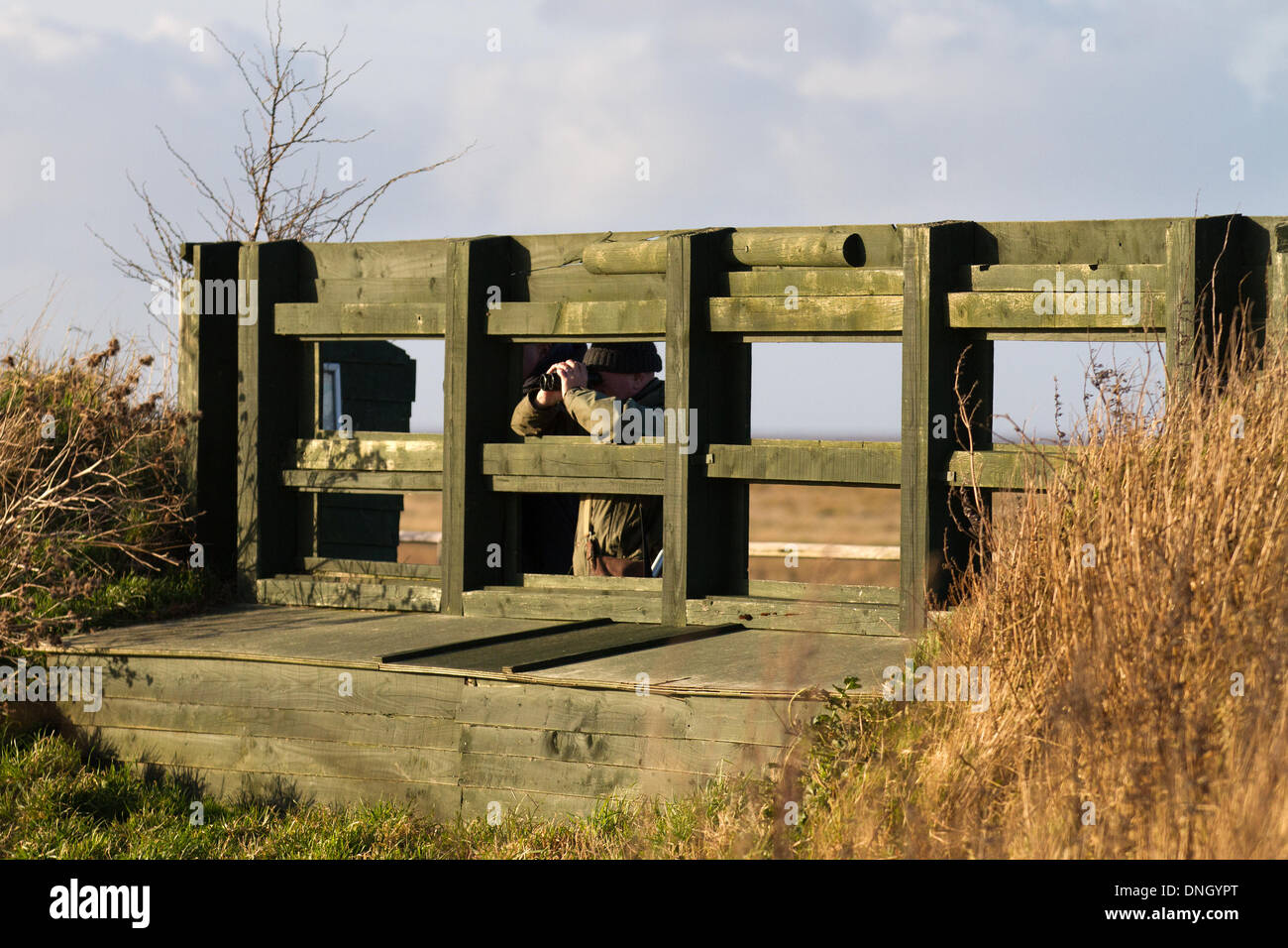 Birders birdwatching, or birding, wildlife observation binoculars ...