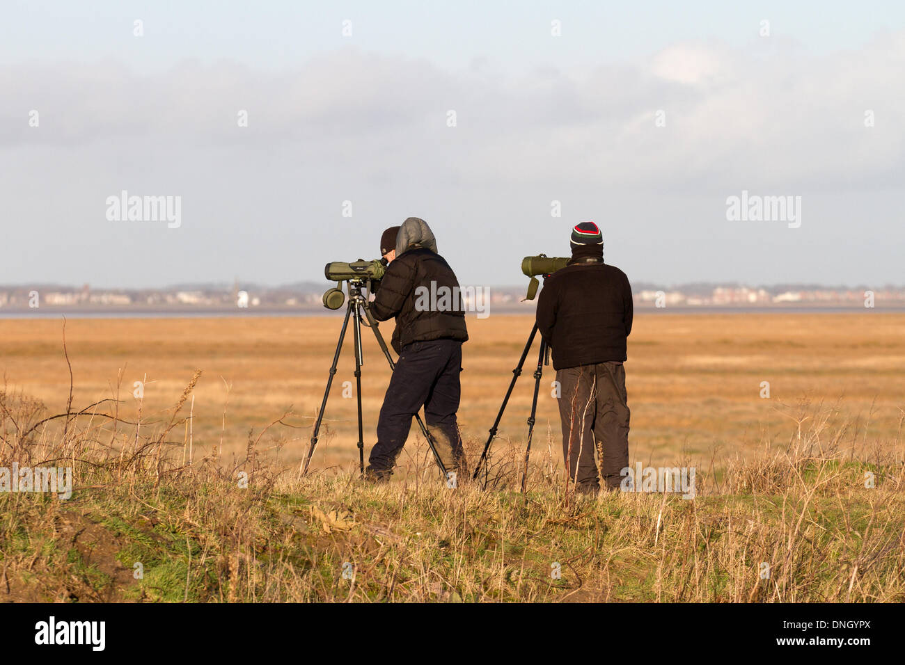 Protected species observers hi-res stock photography and images - Alamy