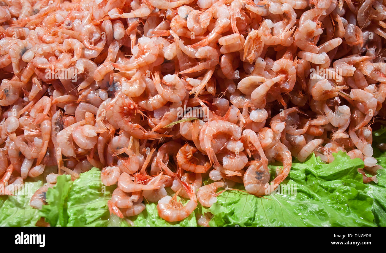 Pink clam meat hi-res stock photography and images - Alamy