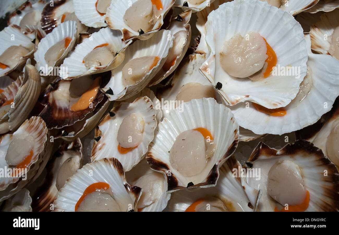 closeup of big raw scallop shells on sea market table Stock Photo - Alamy