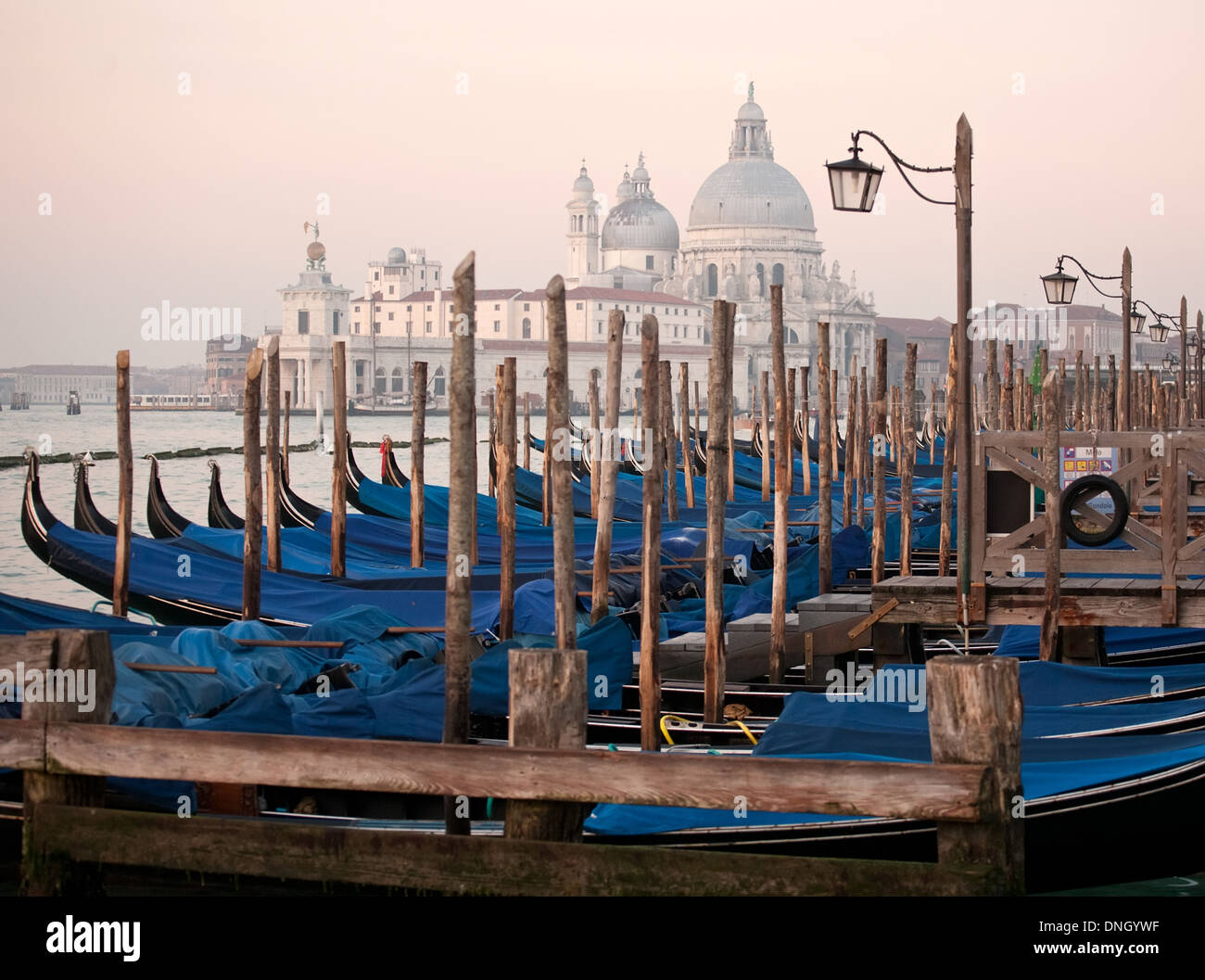 row of gondolas closeup and Salute church on blurry morning background ...