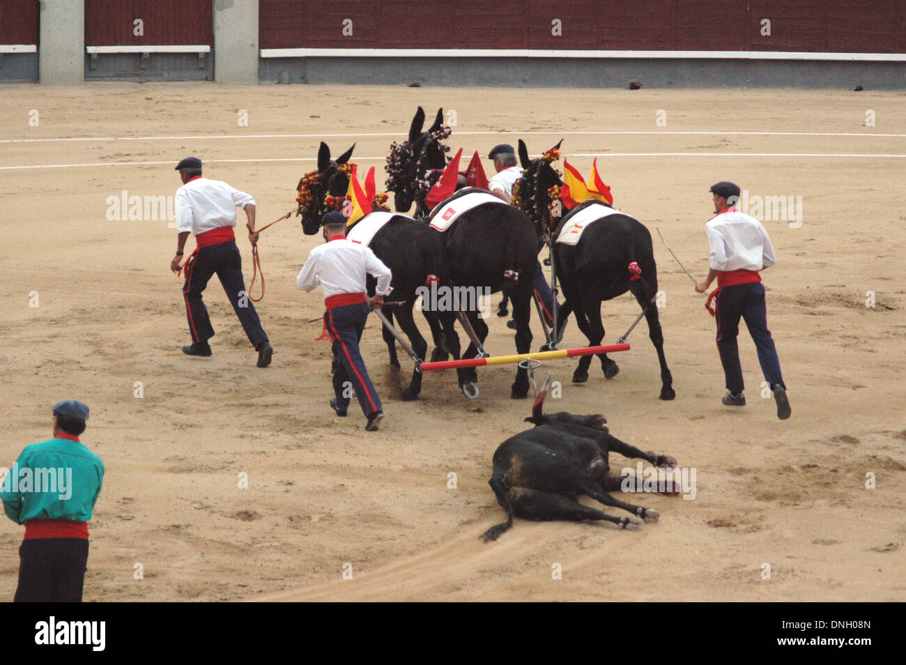 Bullfights in madrid hi-res stock photography and images - Alamy