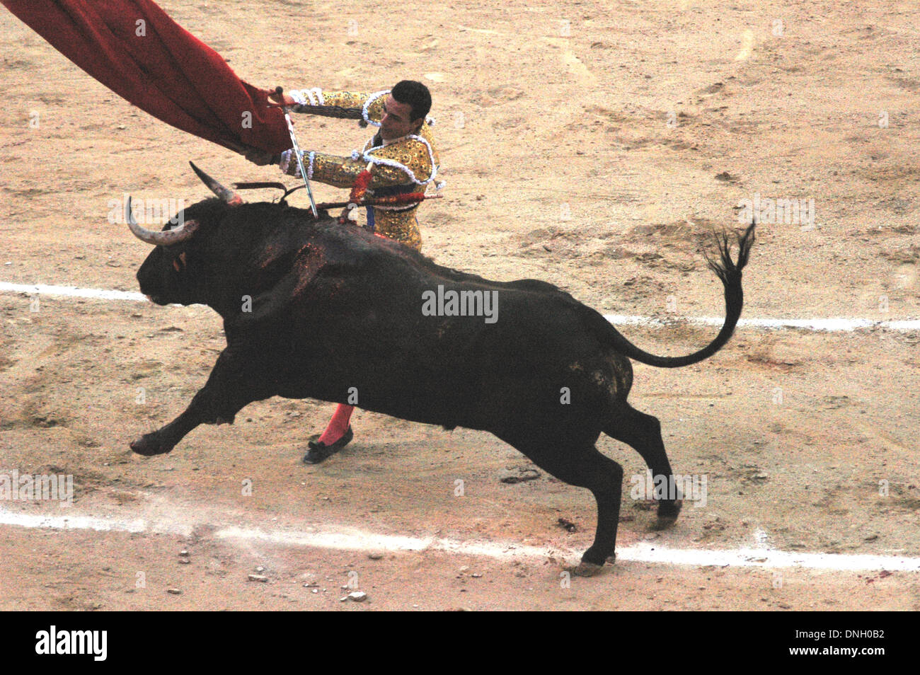 Bullfights in madrid hi-res stock photography and images - Alamy