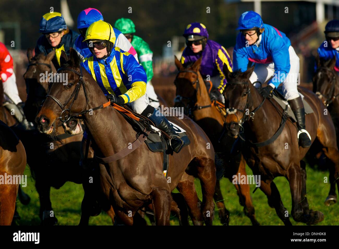 Cottenham racecourse hi-res stock photography and images - Alamy