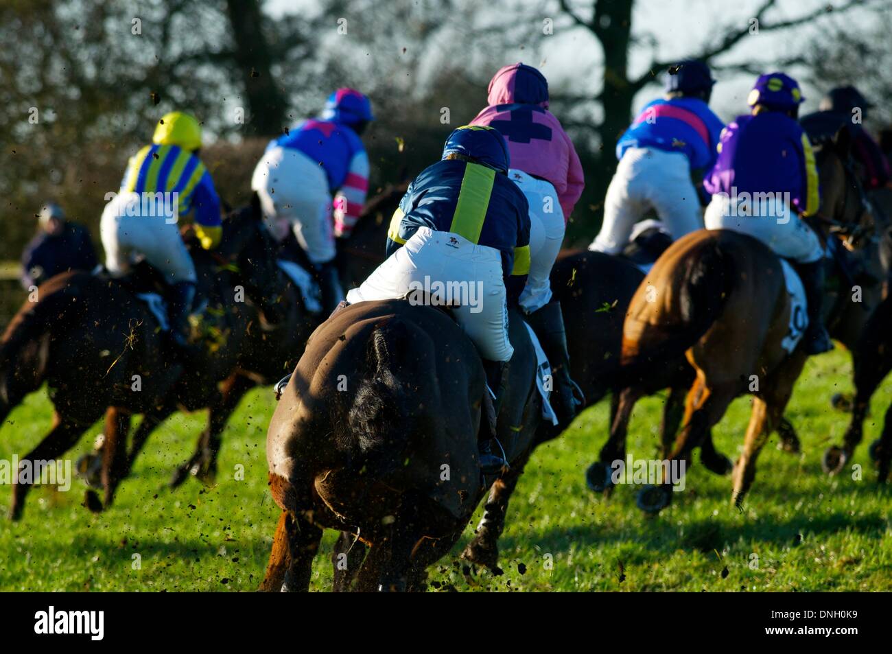 Cottenham Racecourse, Cambridgeshire, UK . 29th Dec, 2013. Point to ...
