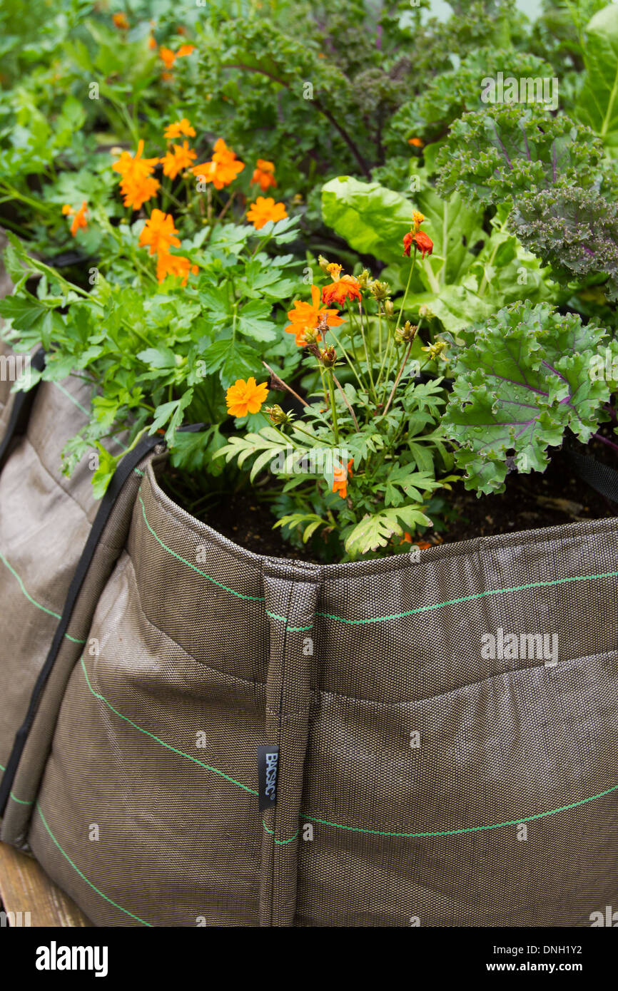 A SACK AS A FLOWER POT, BACSAC, PARIS (75), FRANCE Stock Photo - Alamy