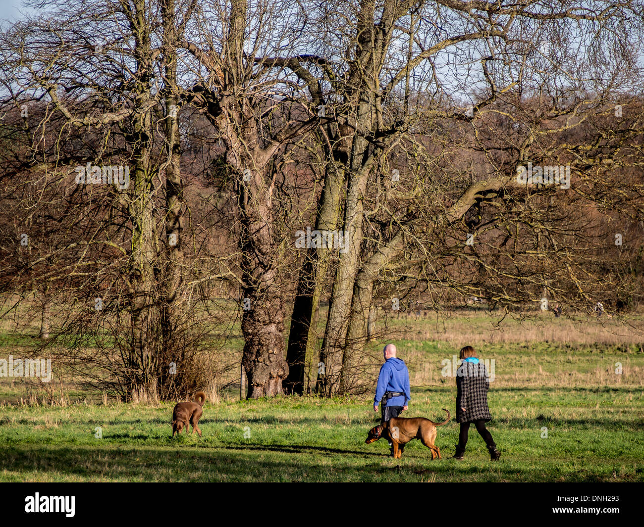 Cheam surrey hi-res stock photography and images - Alamy