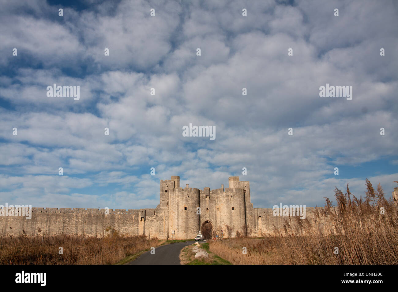 Well preserved examples hi-res stock photography and images - Alamy