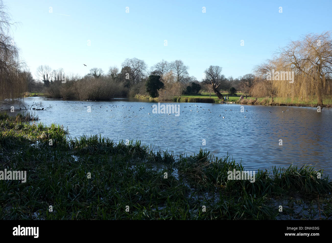 Footscray meadows hi-res stock photography and images - Alamy