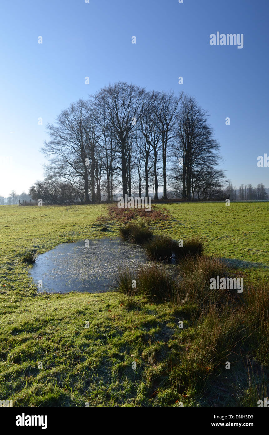Pasture with natural pond hi-res stock photography and images - Alamy
