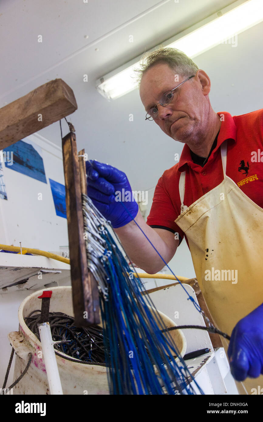 PREPARATION OF BAIT IN A STOCKFISH (DRIED FISH) FACTORY, TRADITIONAL ...