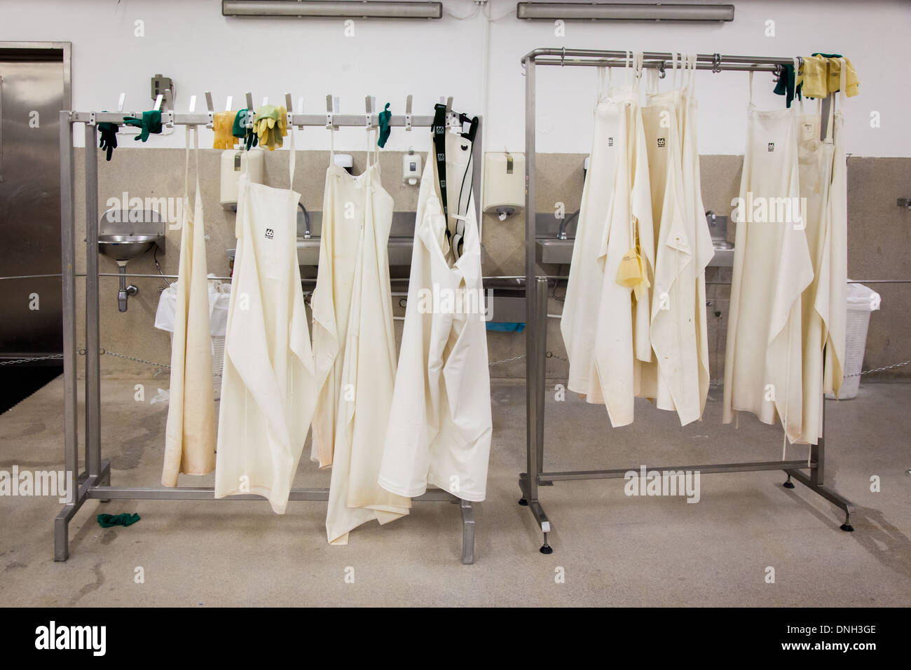 66 NORTH APRONS, WORK CLOTHING AT THE ISLANSSAGA FISH PROCESSING ...