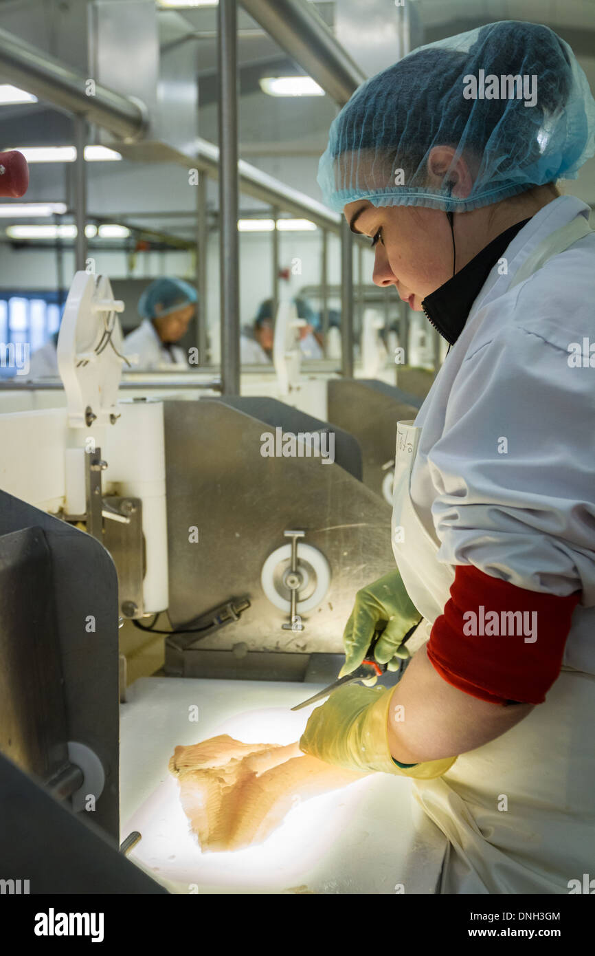 Cod transformation factory hi-res stock photography and images - Alamy