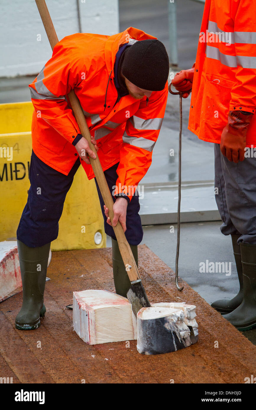 CUTTING UP OF A FINBACK WHALE AT THE SEASIDE RESORT OF HVALFJORDUR, THE ...