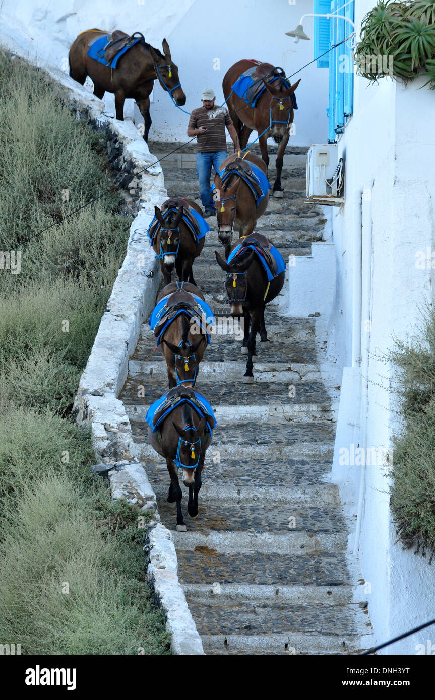 Santorini greece donkey steps hi-res stock photography and images - Alamy