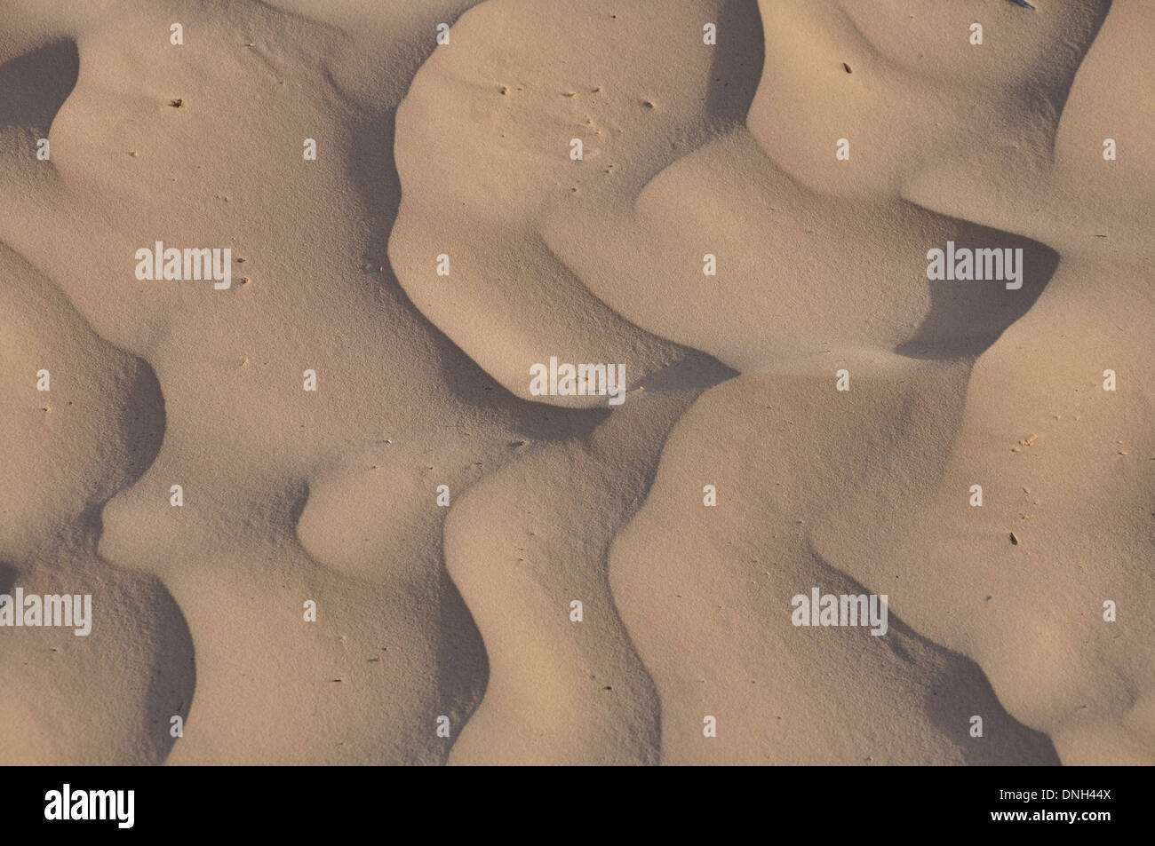 Sahara desert close hi-res stock photography and images - Alamy