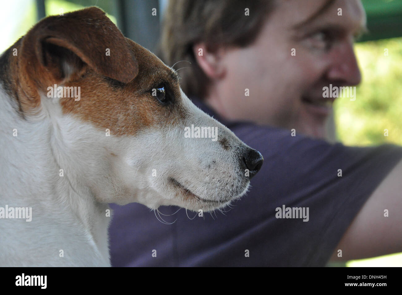 Dogs look like owners hi-res stock photography and images - Alamy