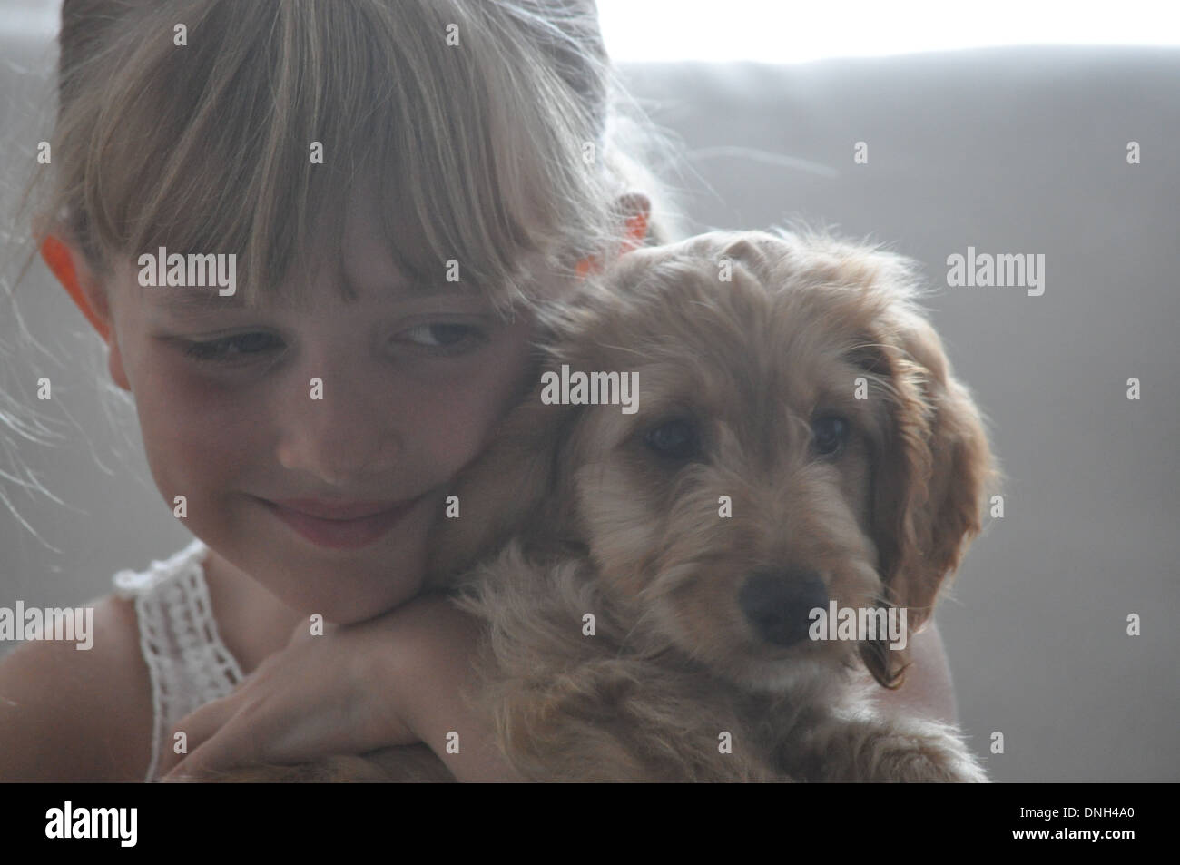 Cockapoo puppy children hi-res stock photography and images - Alamy