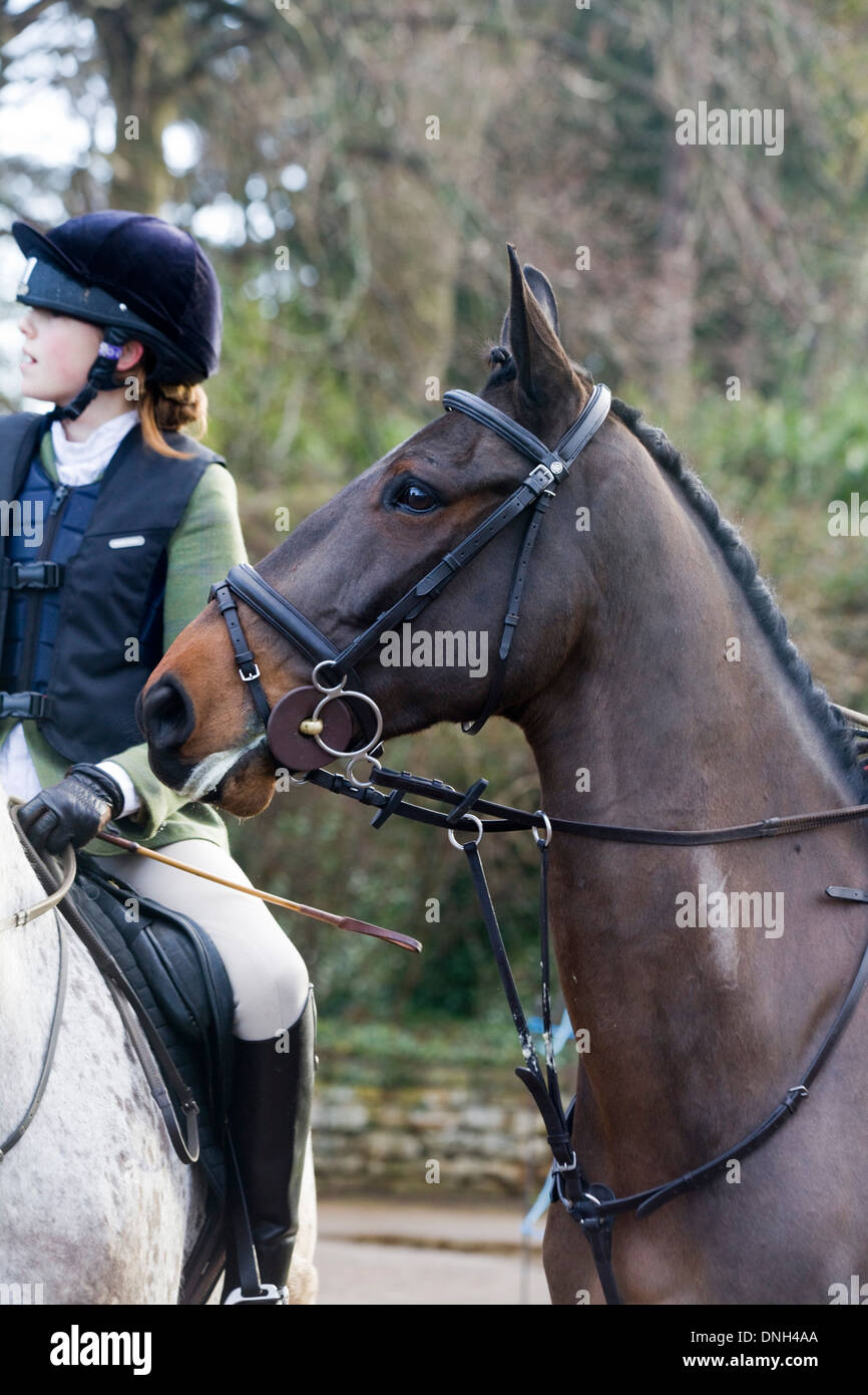 Traditional Boxing day Meet at Upton House Warwickshire England Stock ...