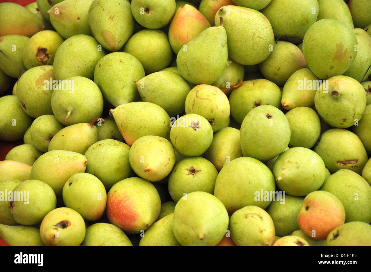Perry pears hi-res stock photography and images - Alamy