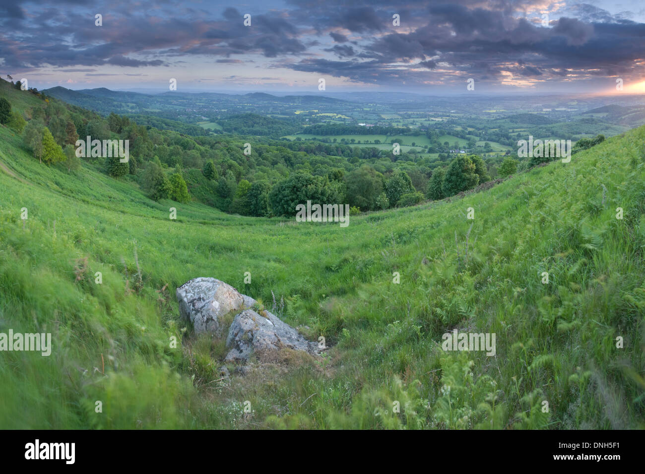 A Rock amongst the Bracken and Foxgloves in the valley between Summer ...