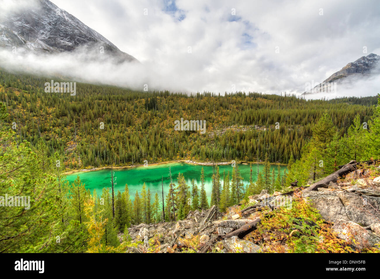 Storm Mountain & Mt. Whymper emerge from the fog and clouds above ...