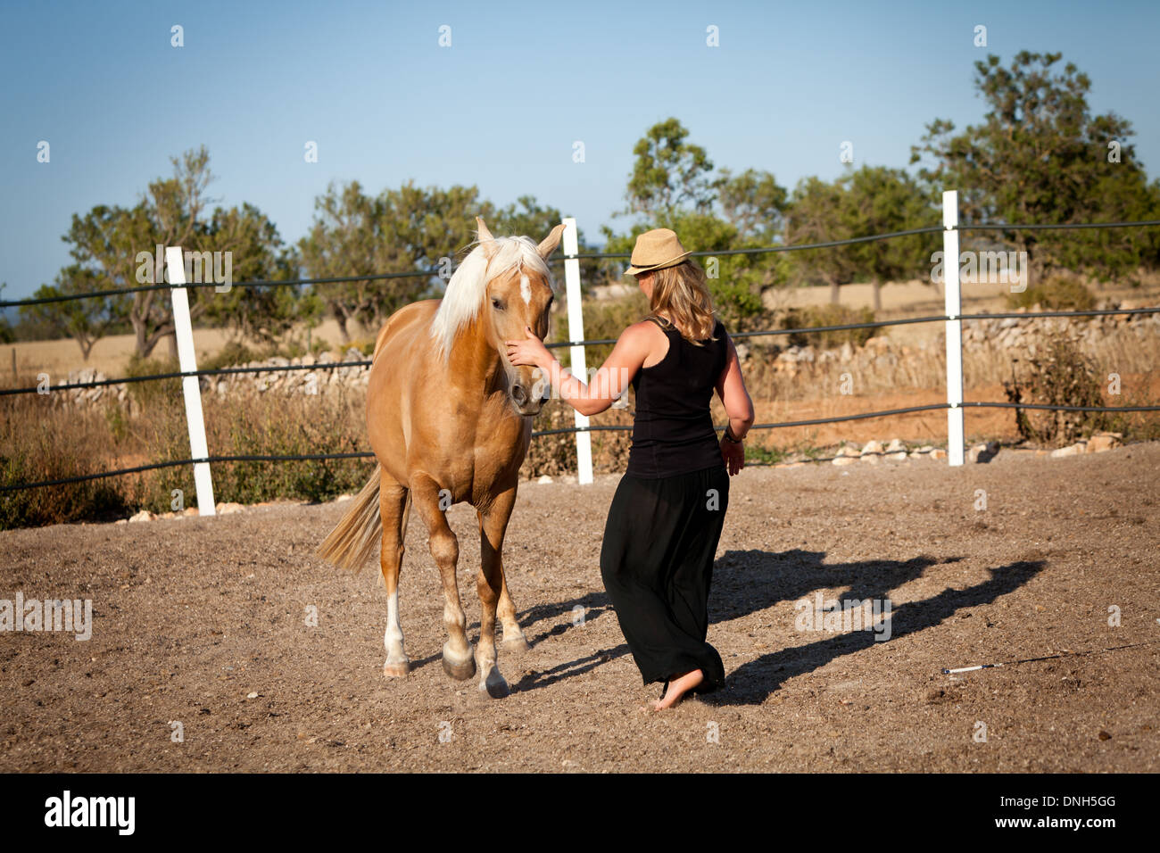 Horse dressage trainer hi-res stock photography and images - Alamy