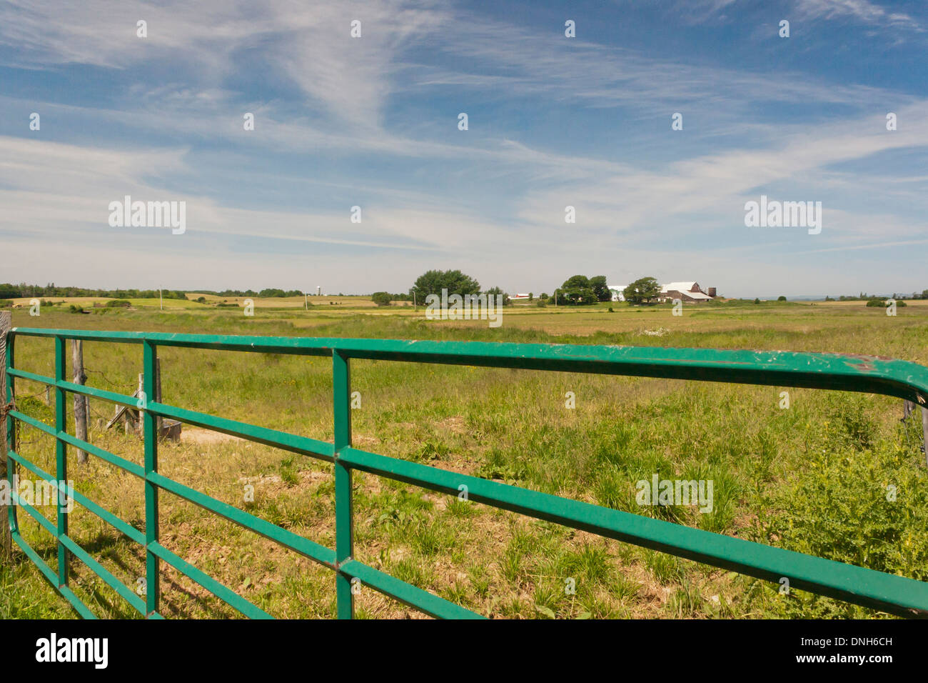 Closeup detail of livestock gate with field and sky Stock Photo - Alamy