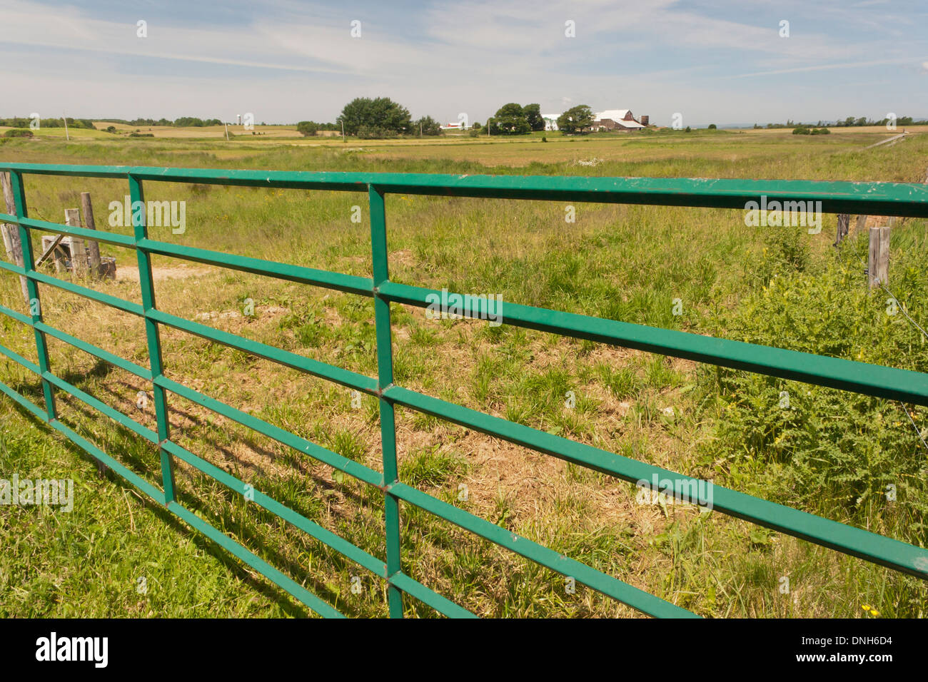 Closeup detail of livestock gate with field and sky Stock Photo - Alamy