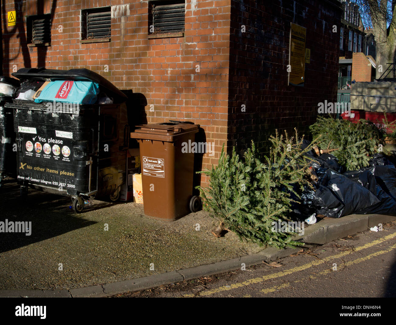 Christmas trees and packaging for presents dumped with rubbish at a ...